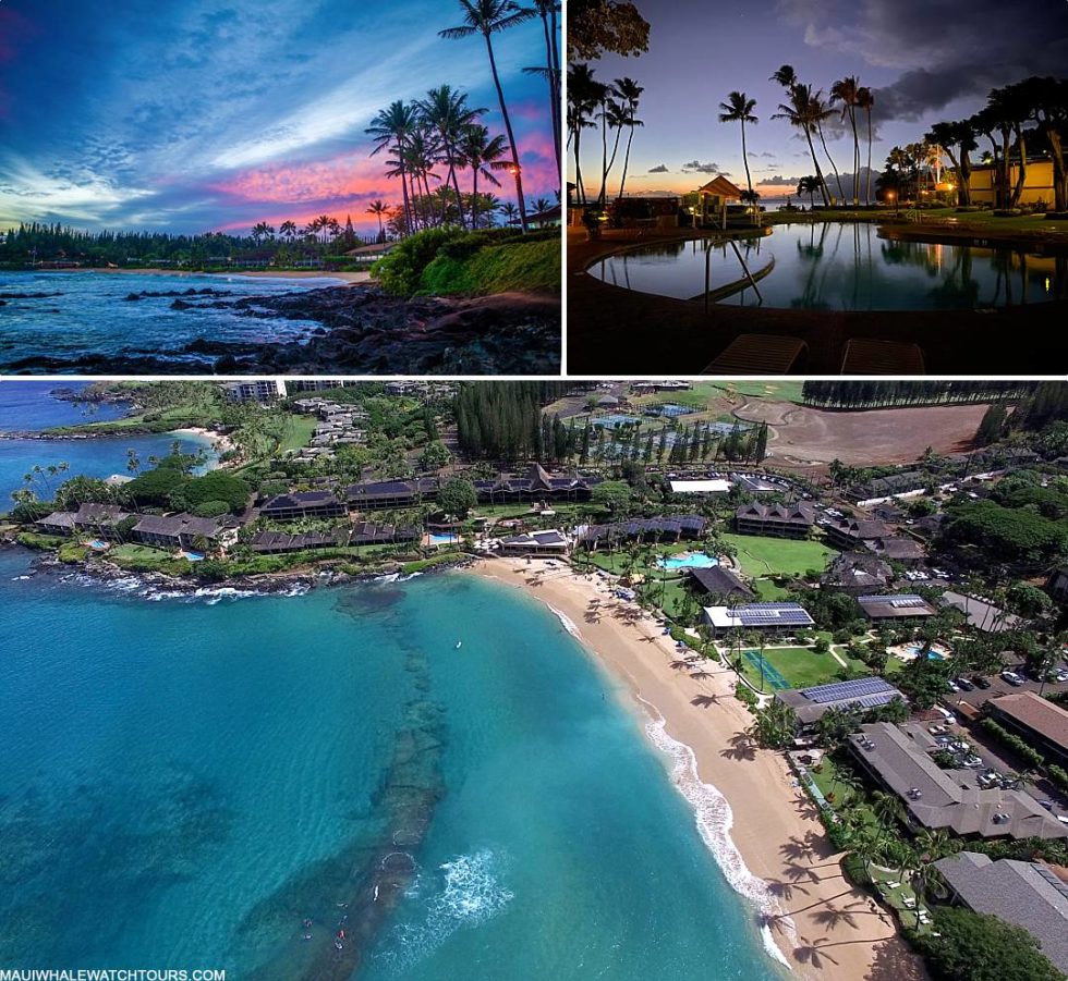 Top 10 Things To Do In Napili & Kapalua | Maui Whale Watch Tours
